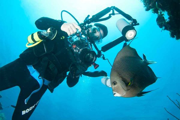 Bahamas Diving | All Star Liveaboards