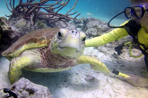 Exciting Family Vacations - Cat Ppalu Charter Yacht - All Star Liveaboards