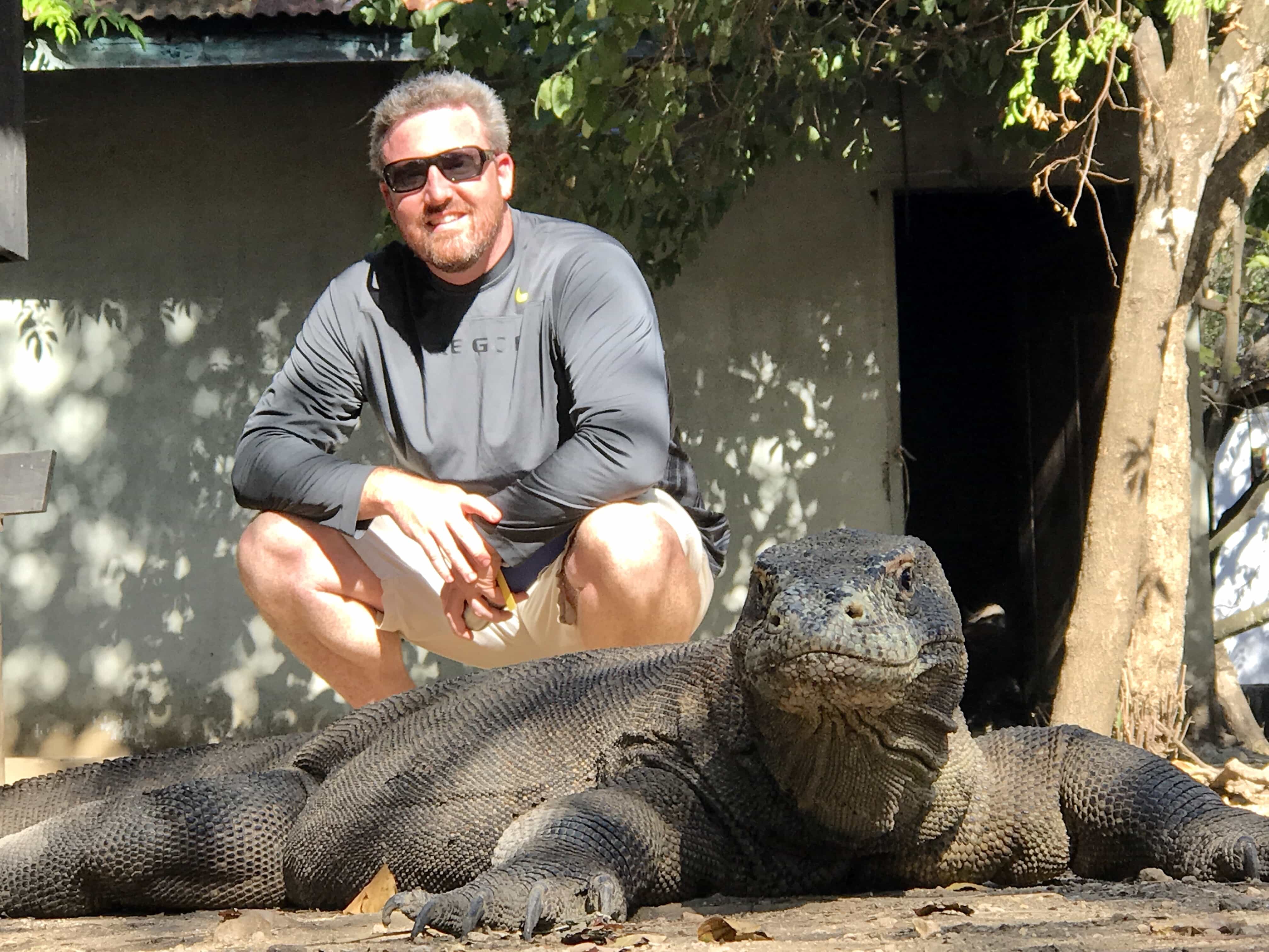 Pygmy Komodo Dragon