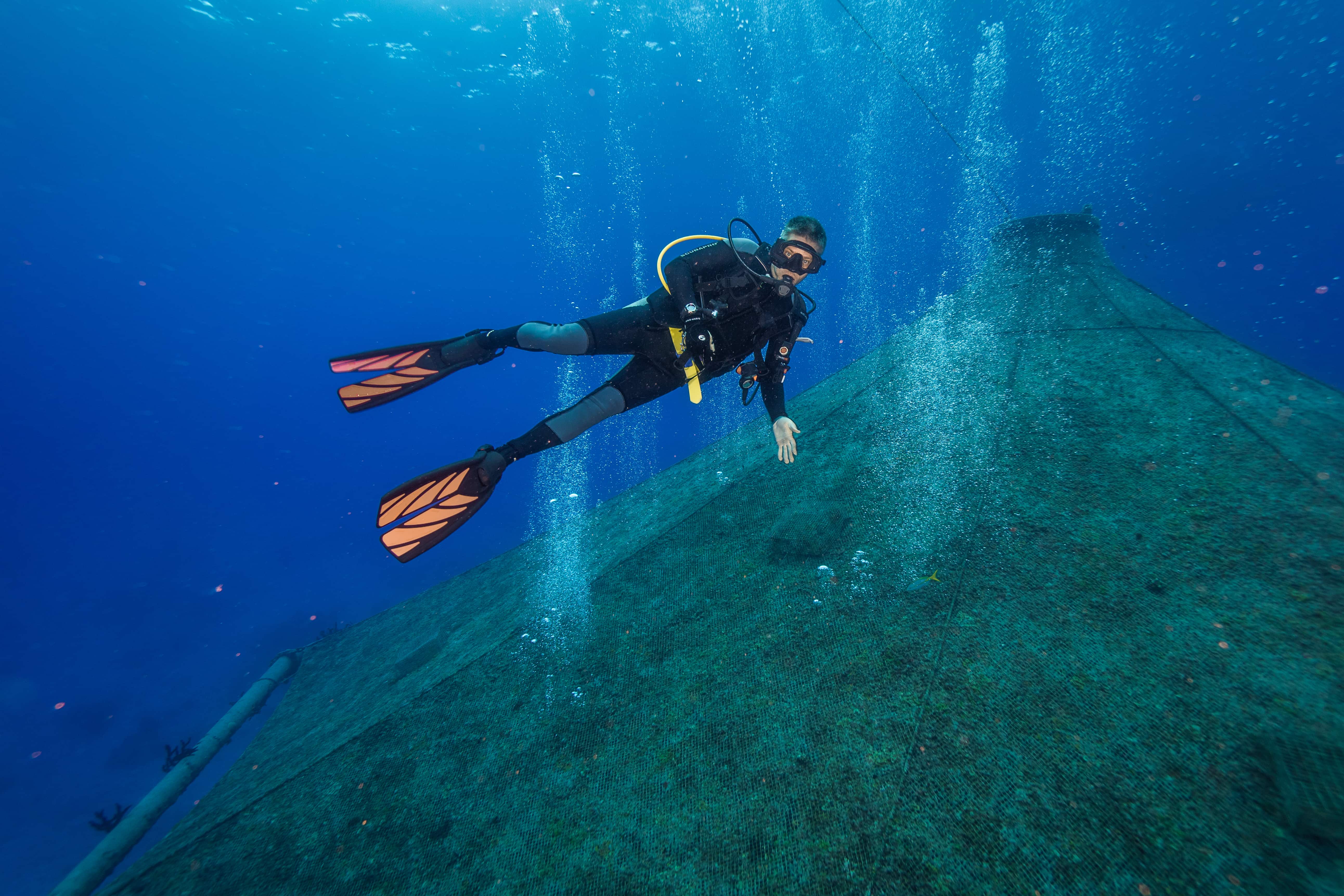 Diving And Fishing